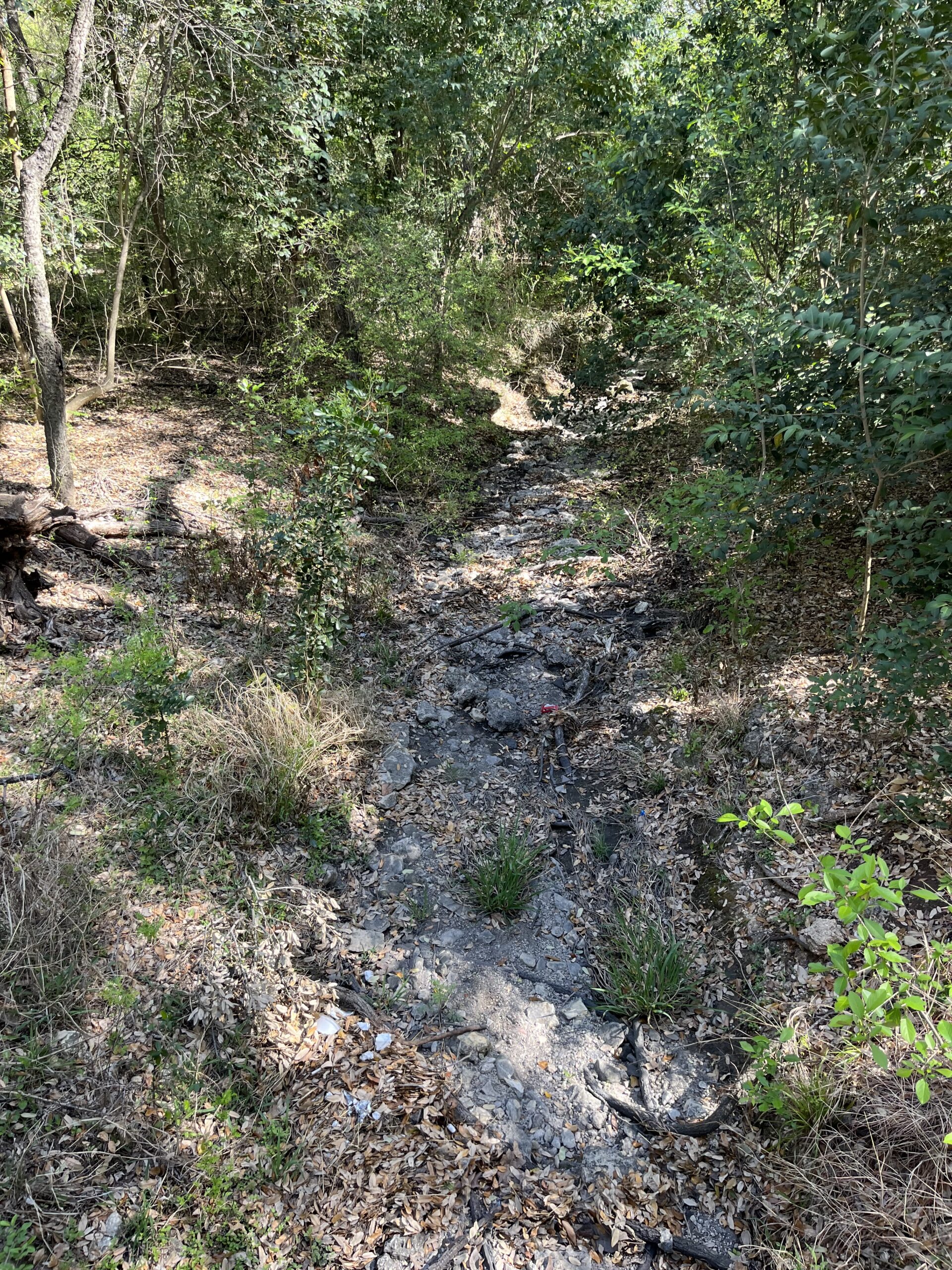 Spirit Reach (Contemplative Path) – Bexar County Capital Improvements Program